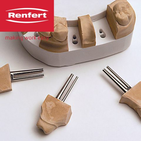 Model Pins – Various | Metrodent